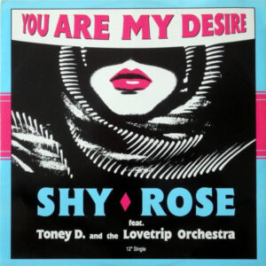 Shy Rose – You are my desire – Hi-NRG México